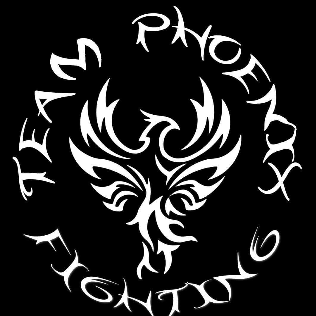 team phoenix fighting