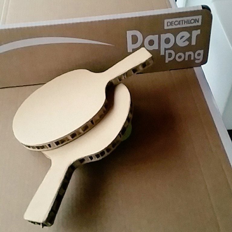 Fédération Internationale de Paper Pong (FIPP )